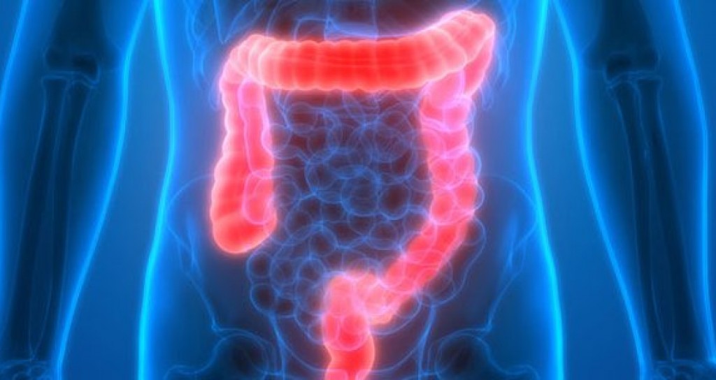 Colon channel: робот-ассистированная техника TME