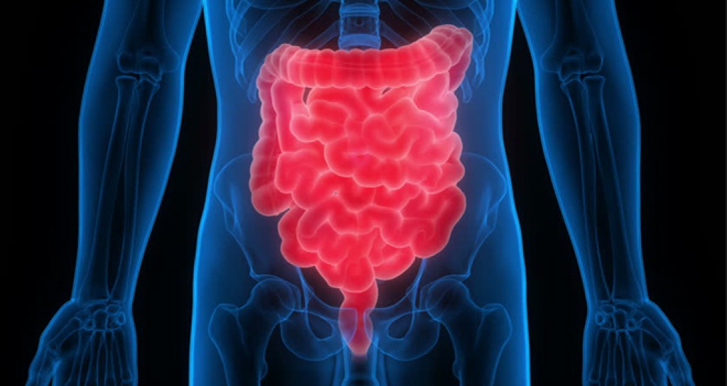 Colon channel: вебинар по колоректальной хирургии да Винчи